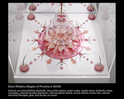 The Heart’s Knowledge: Science and Empathy in the Art of Dario Robleto ...